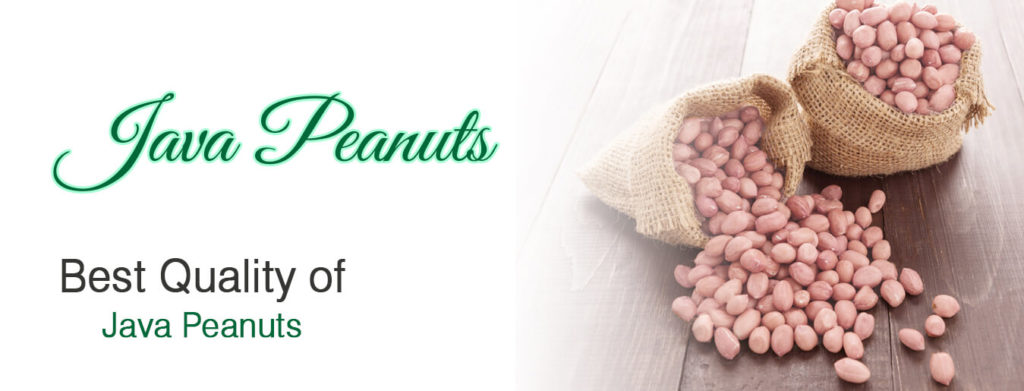 Agrico Marketing – Leading Exporter of Java Peanuts, Raw Cashew, Sesame ...